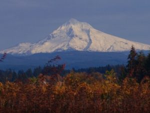 Visit Gresham Oregon | Walk. Shop. Dine. Play. | Things To Do